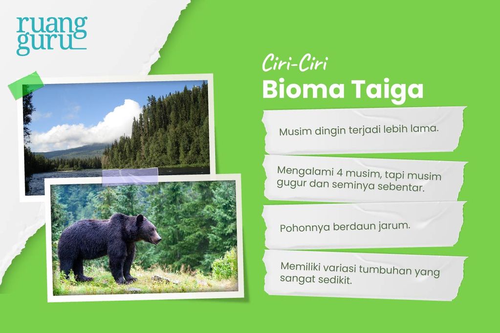 Mengenal Keanekaragaman Hayati (Flora & Fauna) di Dunia